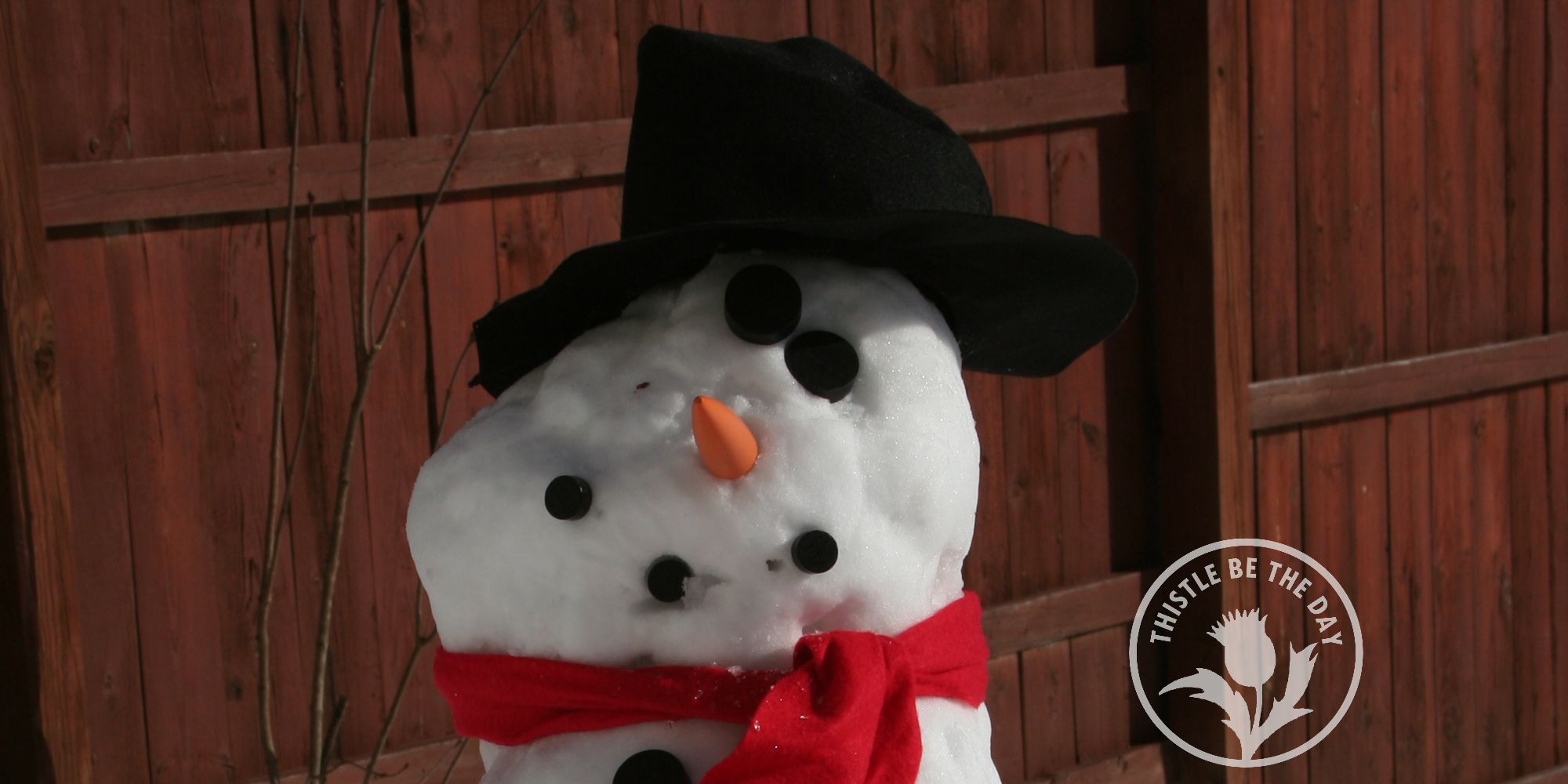 In the Meadow We Can Build a Snowman – THISTLE BE THE DAY