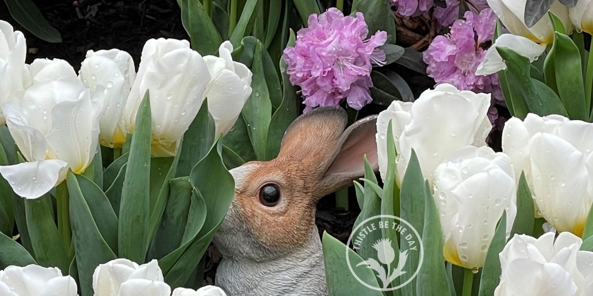 Field Trip: Adams Garden Show 2022 – THISTLE BE THE DAY
