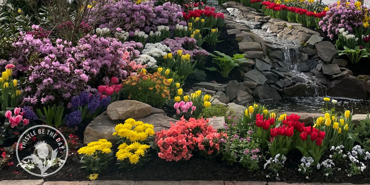 Field Trip: Adams Garden Show 2023 – THISTLE BE THE DAY